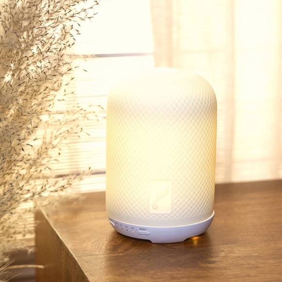 Young Living | Accents | Nib Young Living Haven Ceramic Essential Oil ...